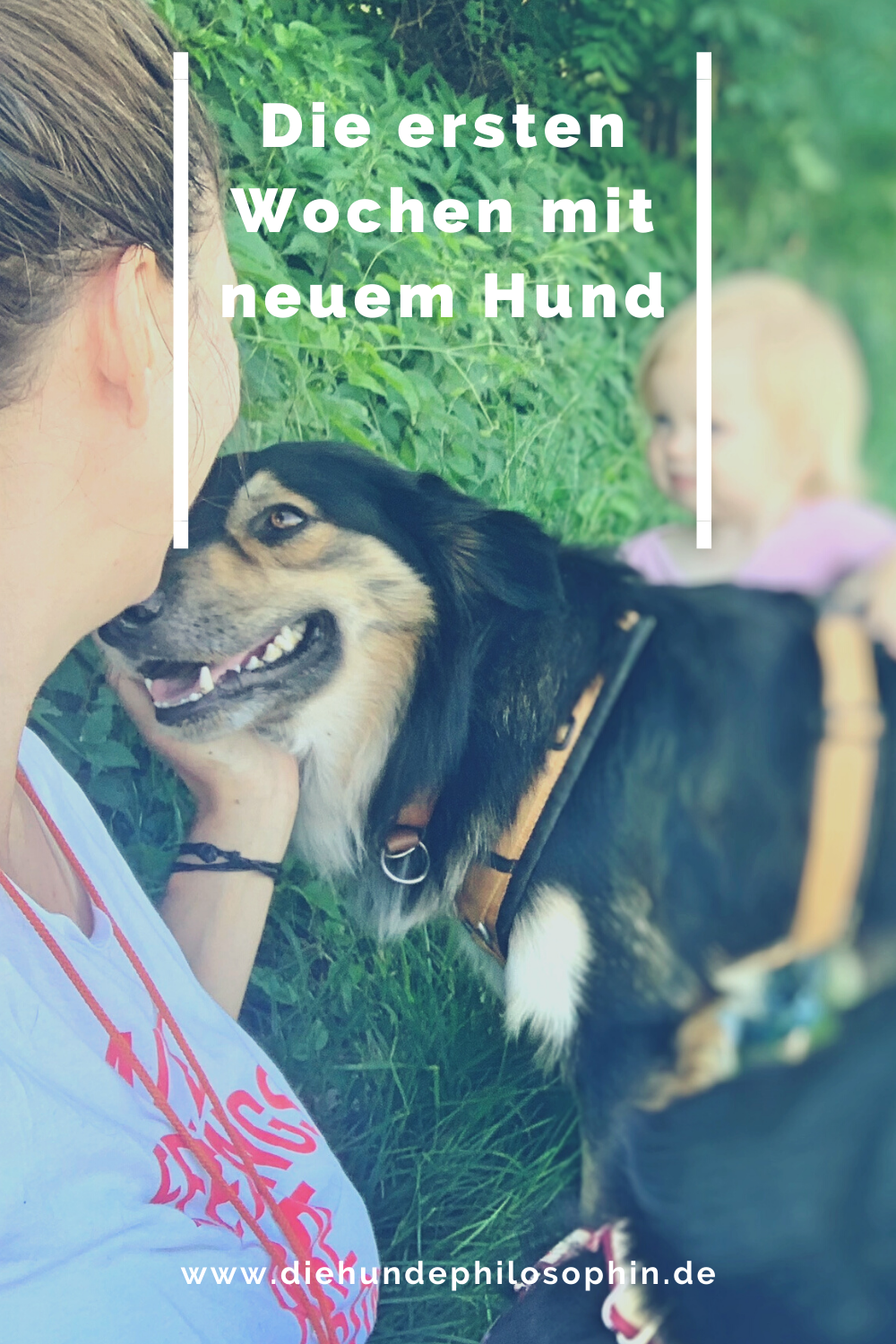 Die ersten Wochen mit einem neuen Hund › Die Hundephilosophin ...